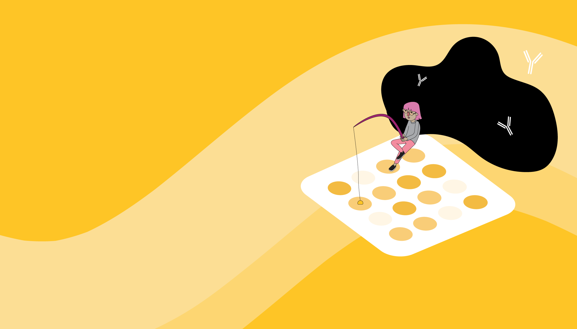 CCL22 ELISA for human and monkey samples | Mabtech