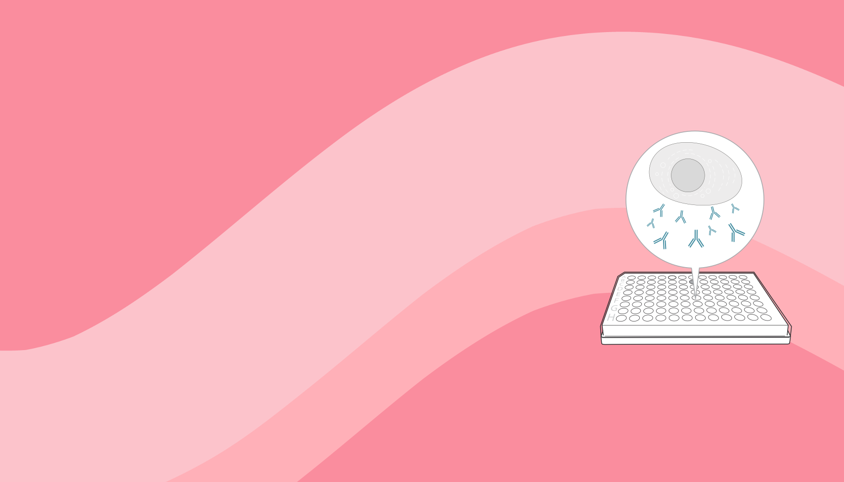 Step-by-step Memory B cell stimulation | Mabtech