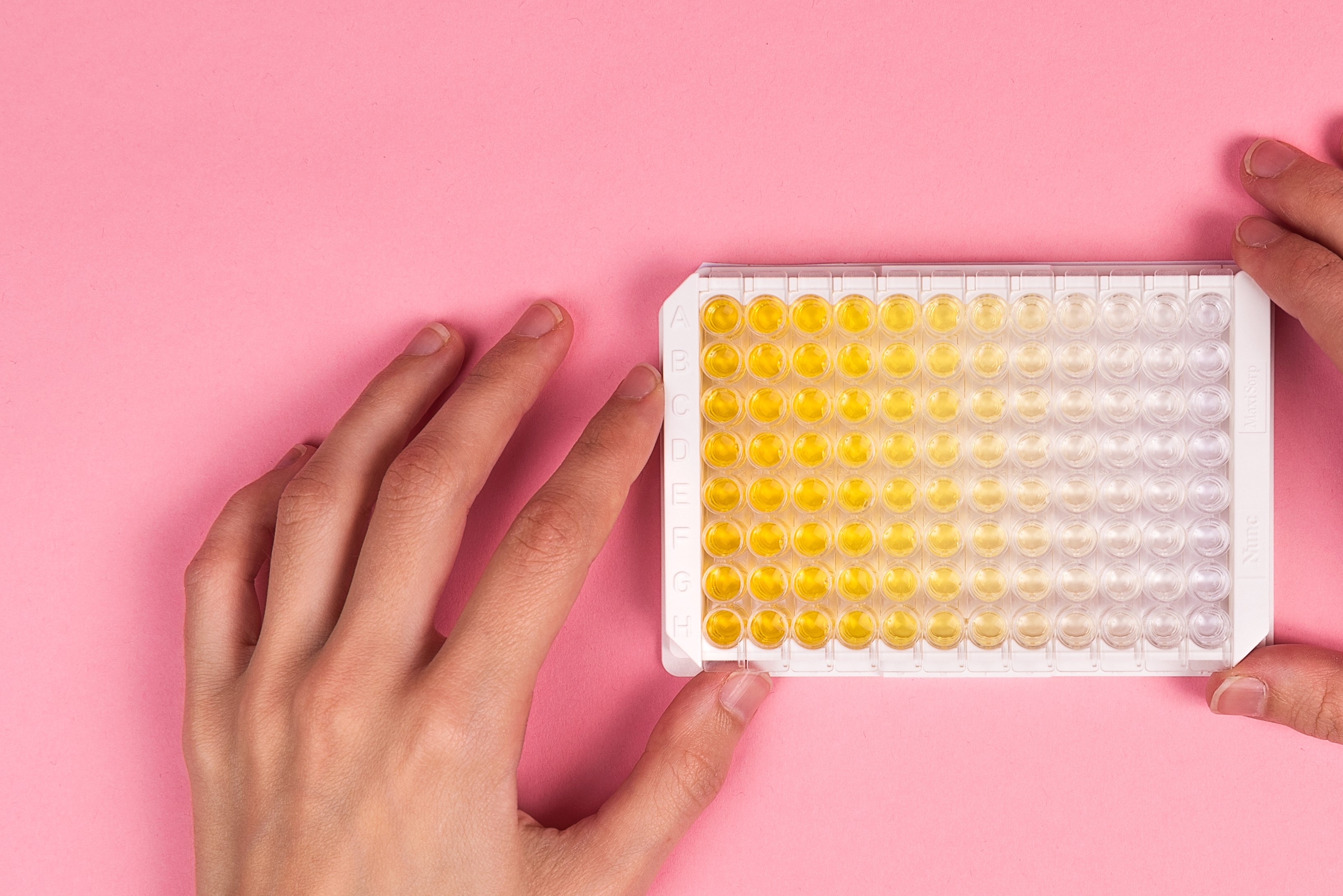 Mouse IgG ELISA available with HRP | Mabtech