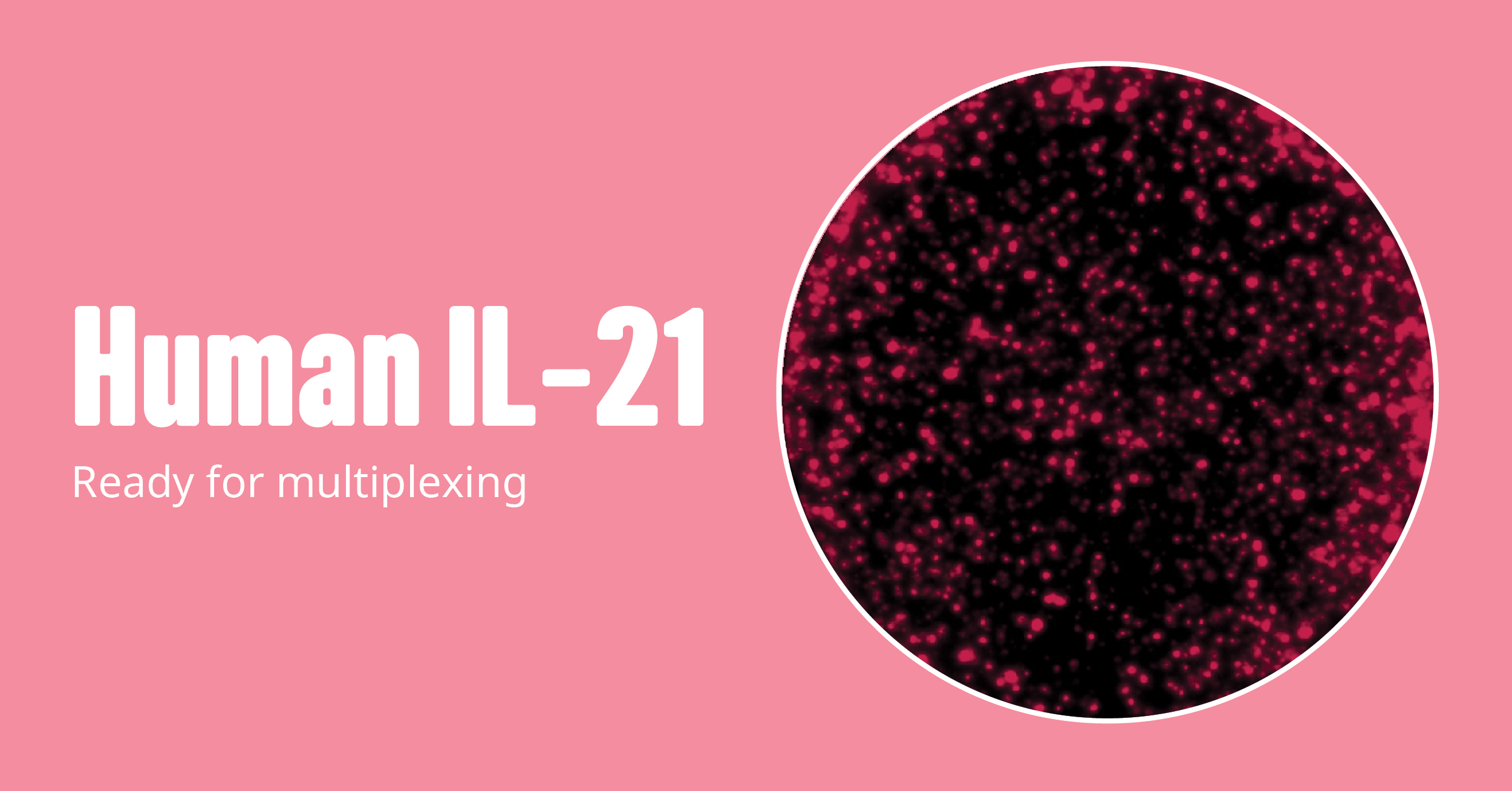 Human IL-21 ready for multiplexing | Mabtech