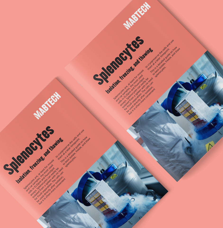 Isolation, freezing, and thawing of splenocytes | Mabtech