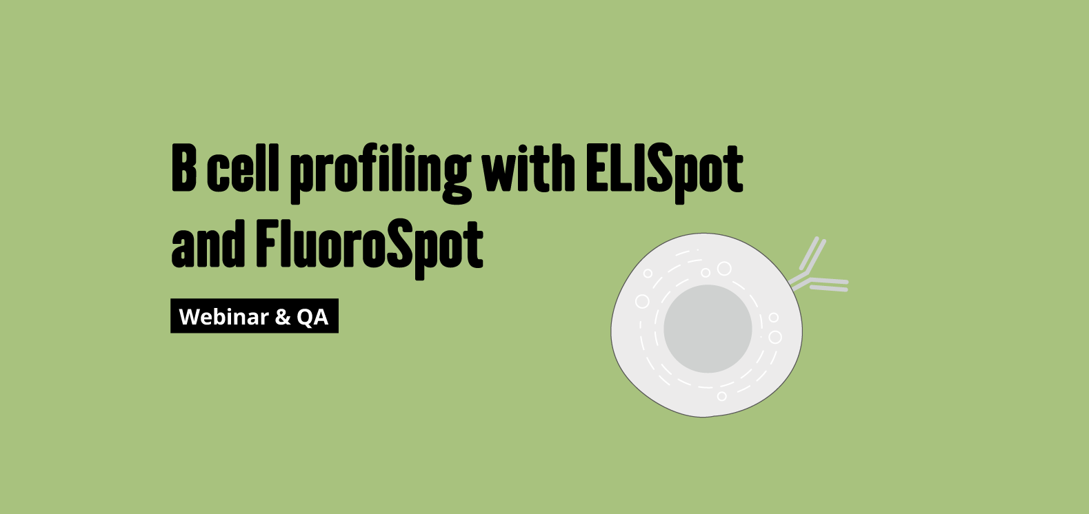 Webinar recording: B cell profiling with ELISpot | Mabtech