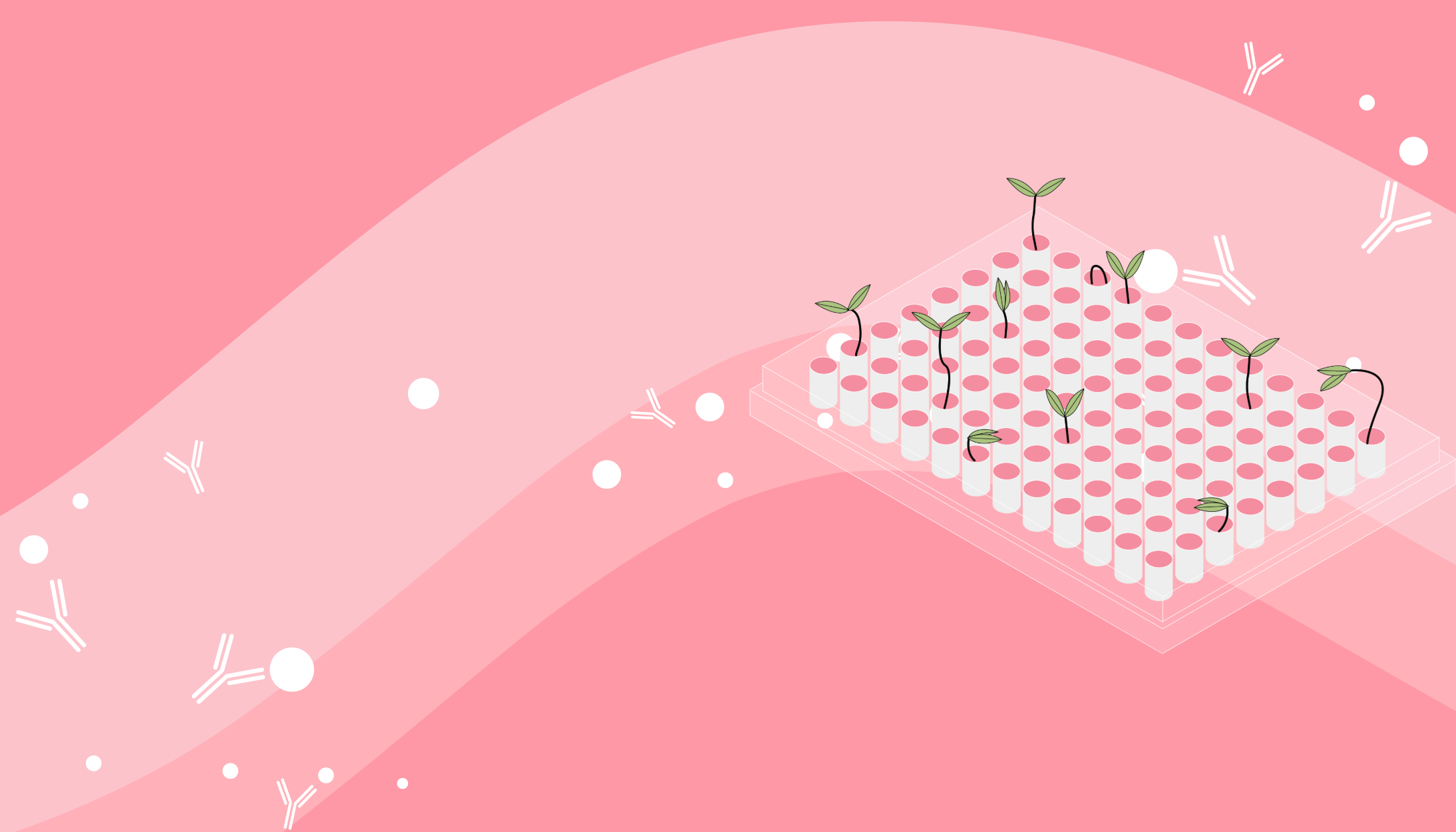 Cell stimulation in ELISpot and FluoroSpot | Mabtech